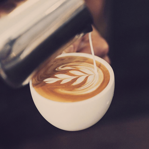 Himalayan Java Coffee | Coffee Shop in Nepal | BookingSansar